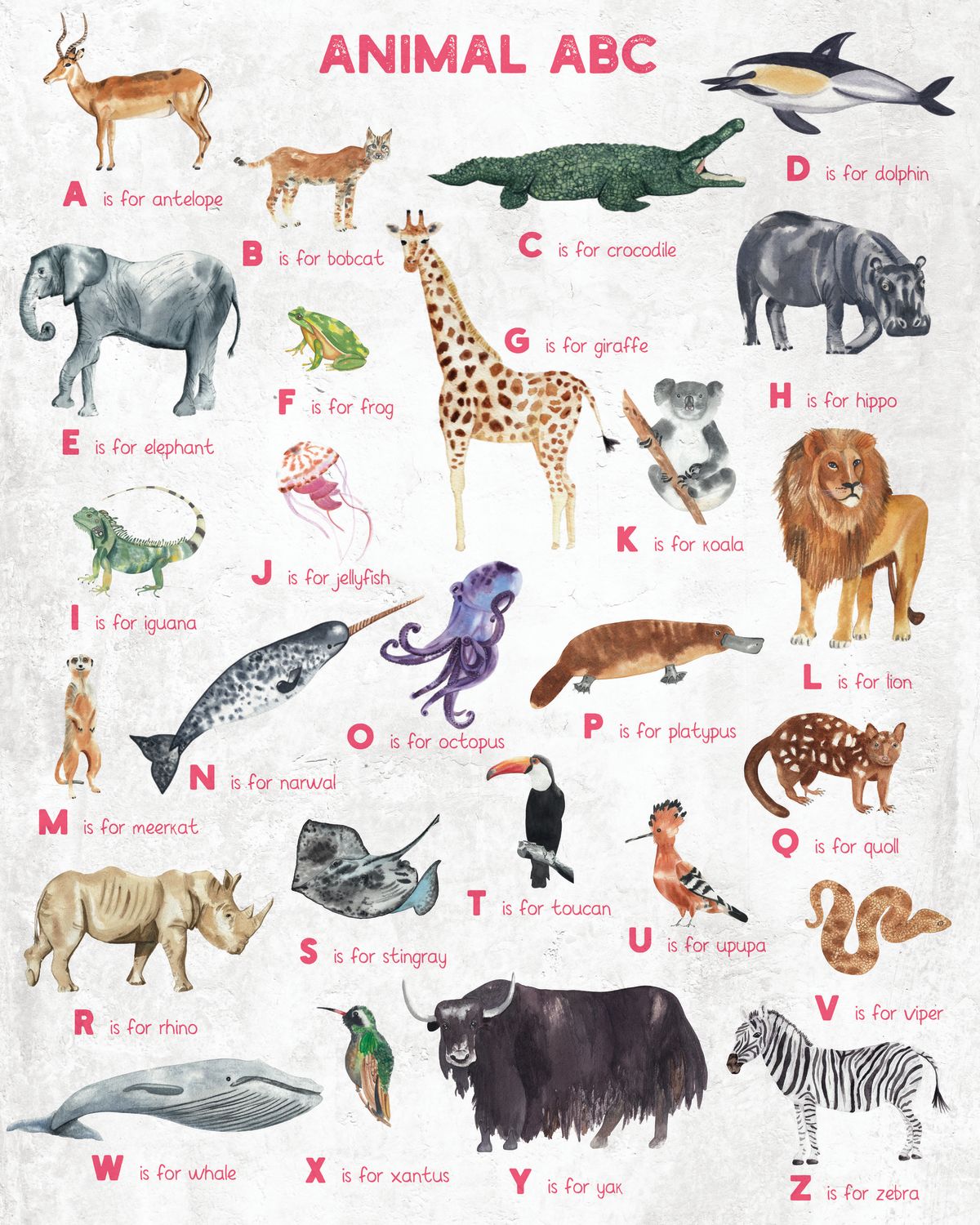 Animals A To Z Chart – Pineapple Licensing