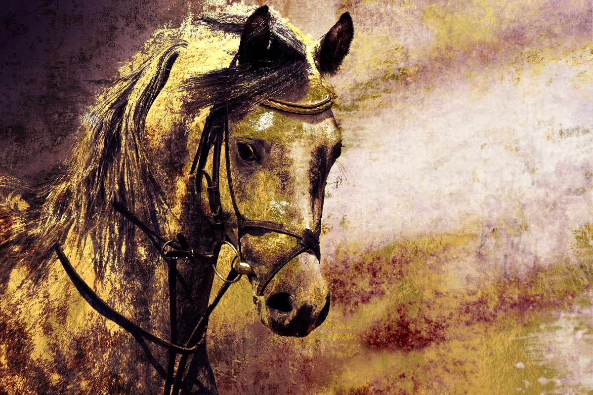 Arabian Horse Portrait – Pineapple Licensing