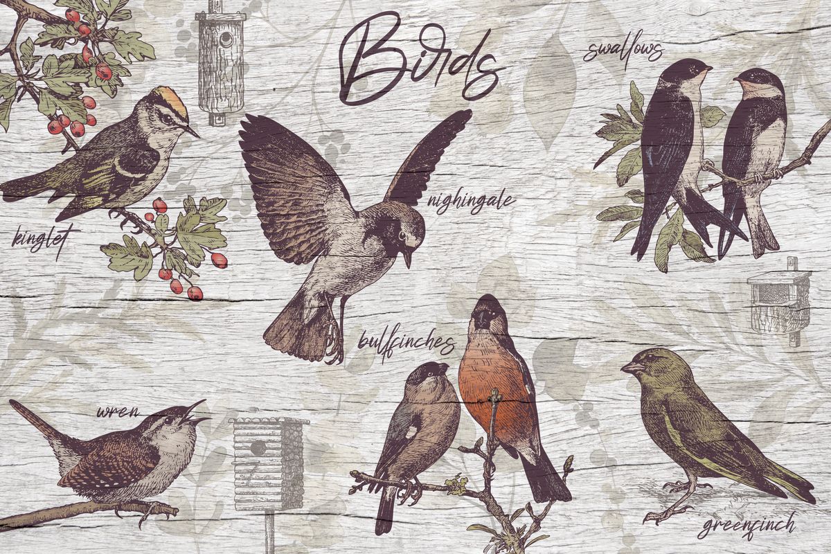 Rustic Birds Chart – Pineapple Licensing