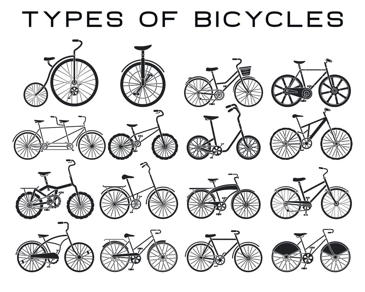 Bicycles Chart – Pineapple Licensing