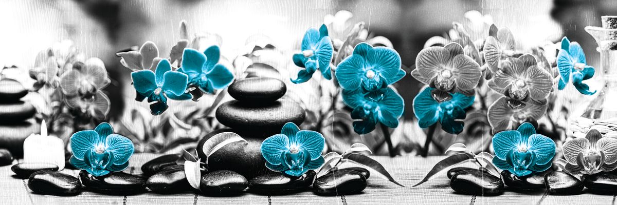 Orchids Spa Pop – Pineapple Licensing