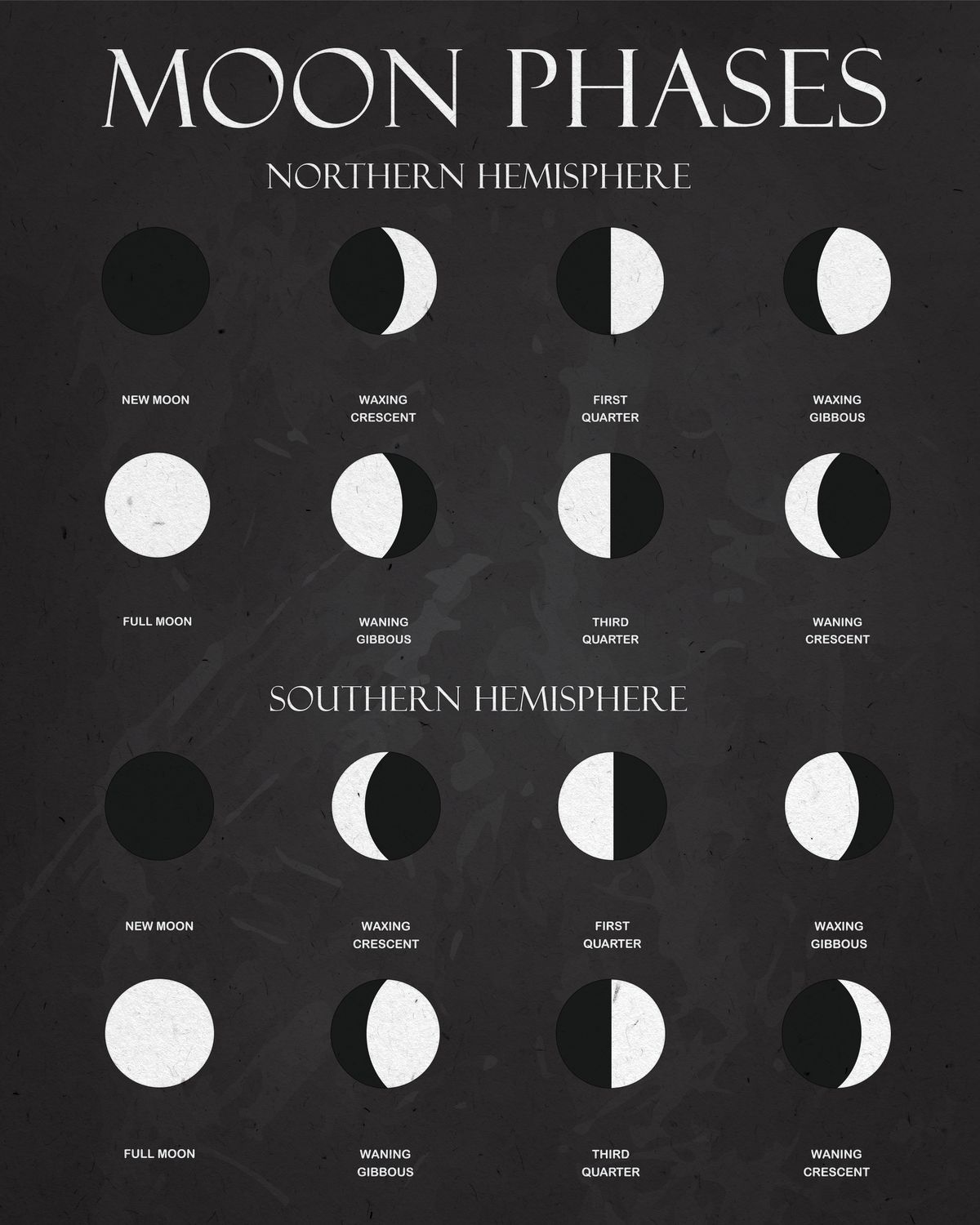 Moon Phases Guide Chart – Pineapple Licensing