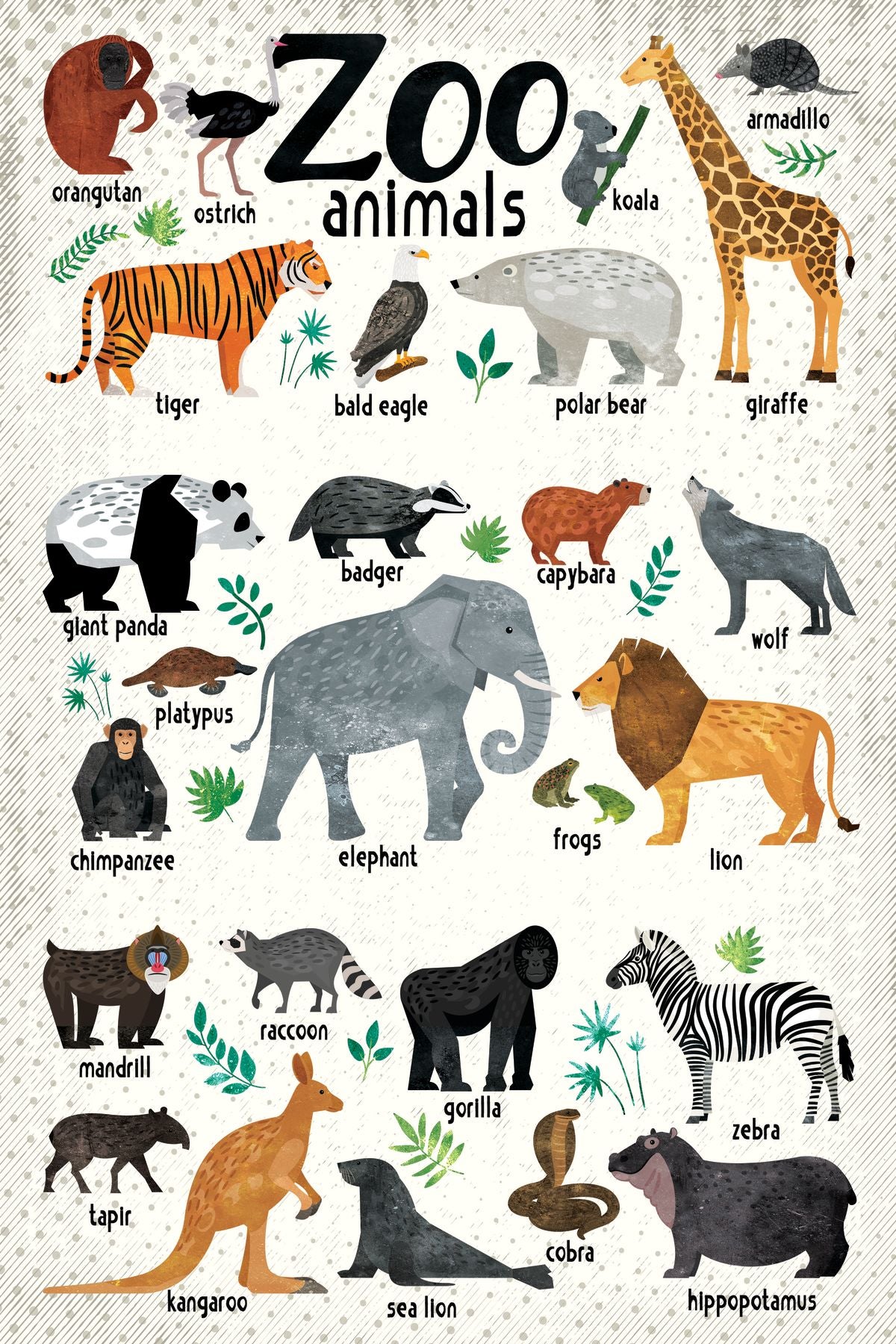 Zoo Animals Chart – Pineapple Licensing
