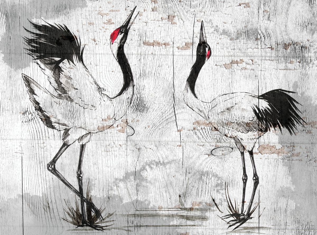 Rustic Japanese Cranes – Pineapple Licensing