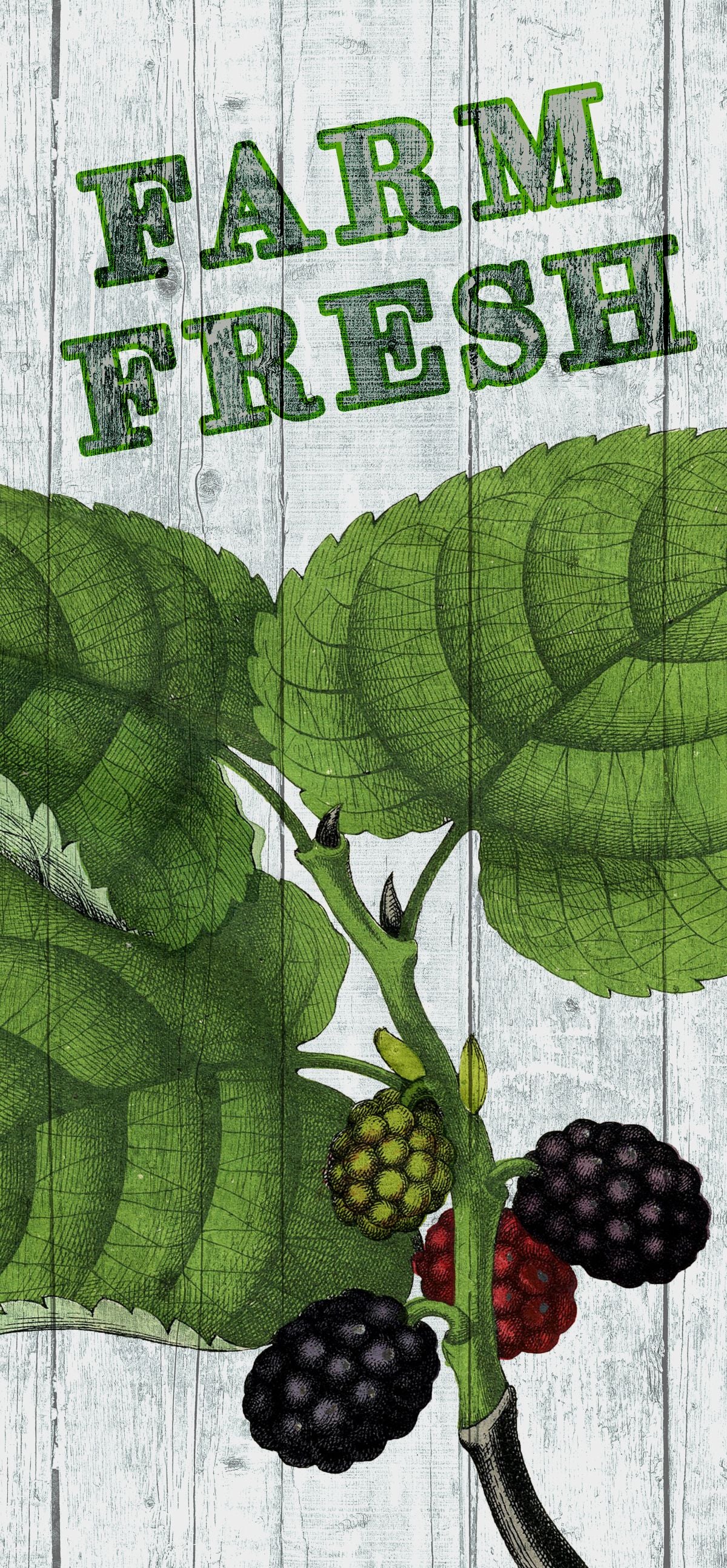 Fresh Berries – Pineapple Licensing