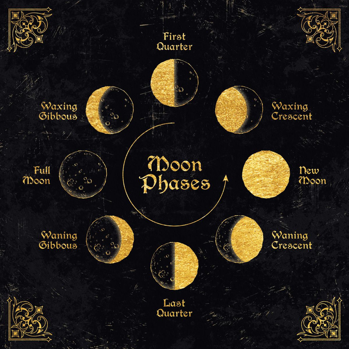 Gold Moon Phases Chart – Pineapple Licensing