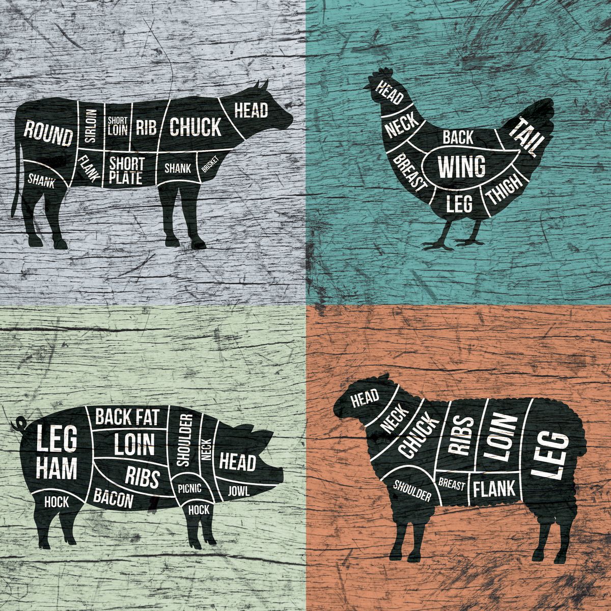 Meat Cuts Chart – Pineapple Licensing