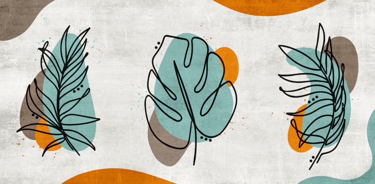 Monstera Outlines – Pineapple Licensing