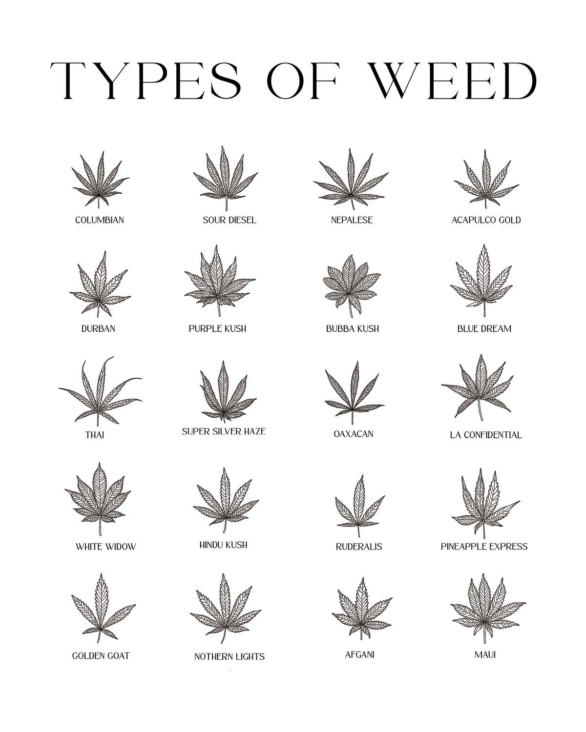 Weed Chart – Pineapple Licensing