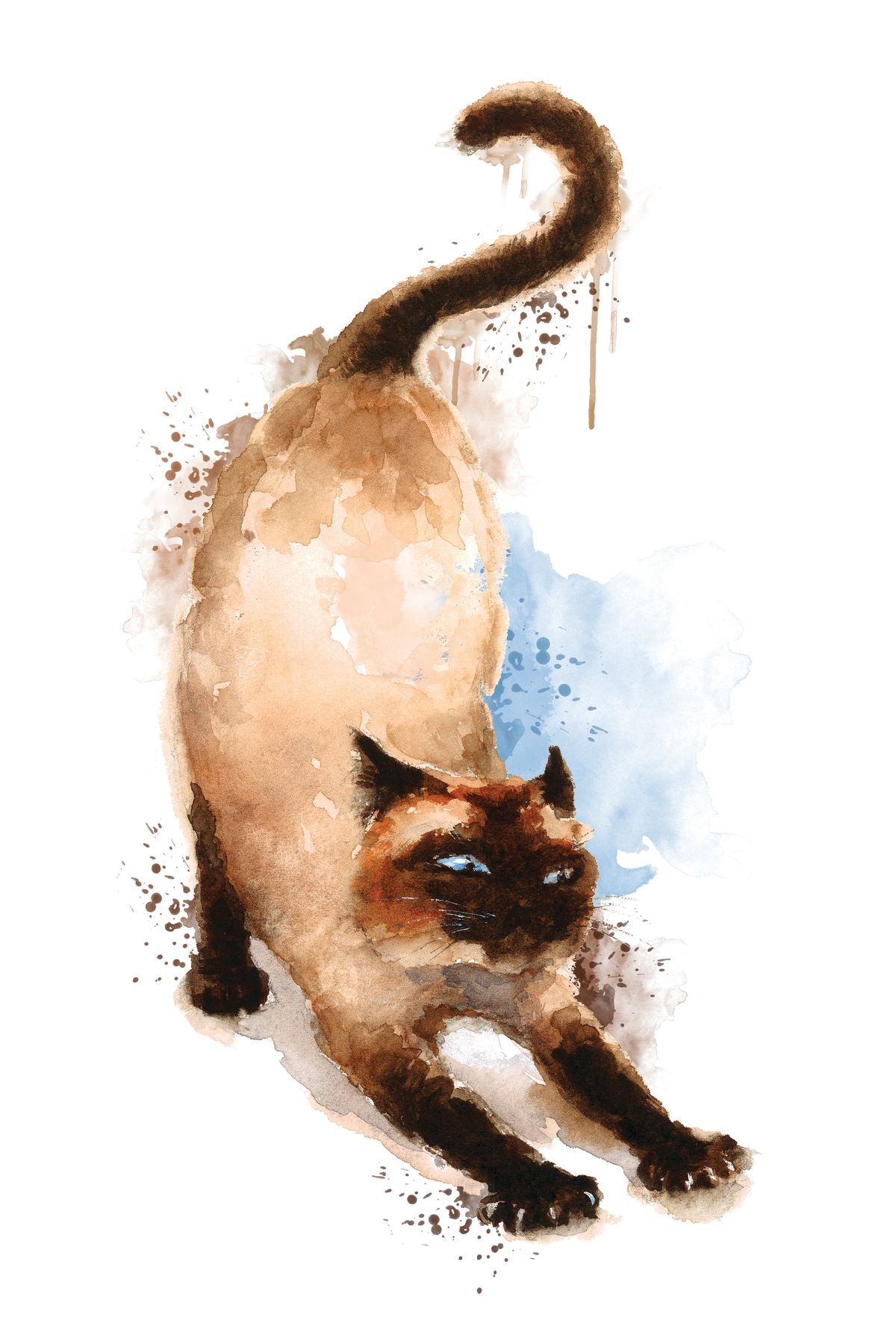 Siamese – Pineapple Licensing