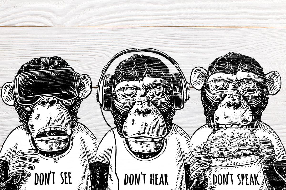 Cool Monkeys – Pineapple Licensing
