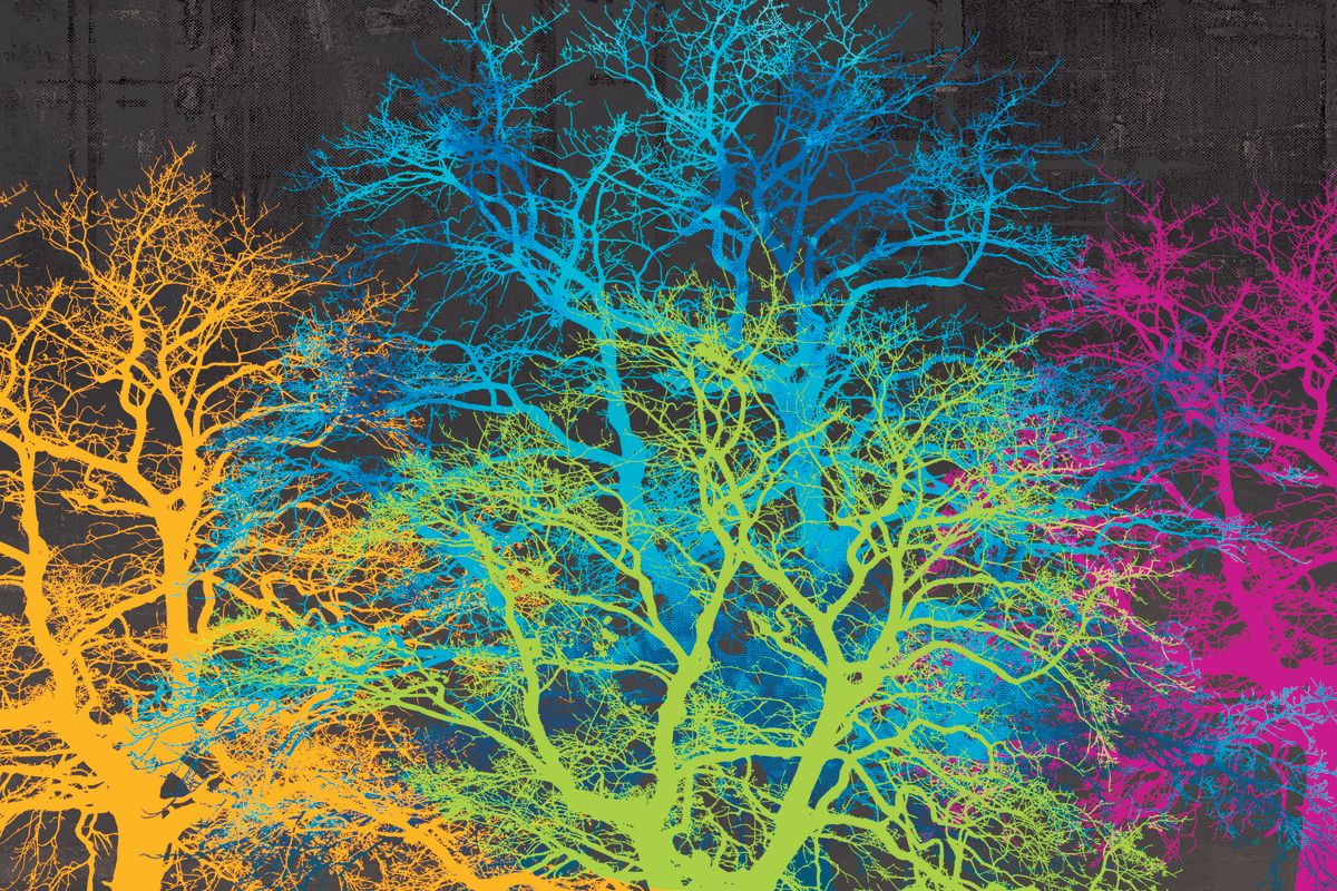 Colorful Bare Trees – Pineapple Licensing