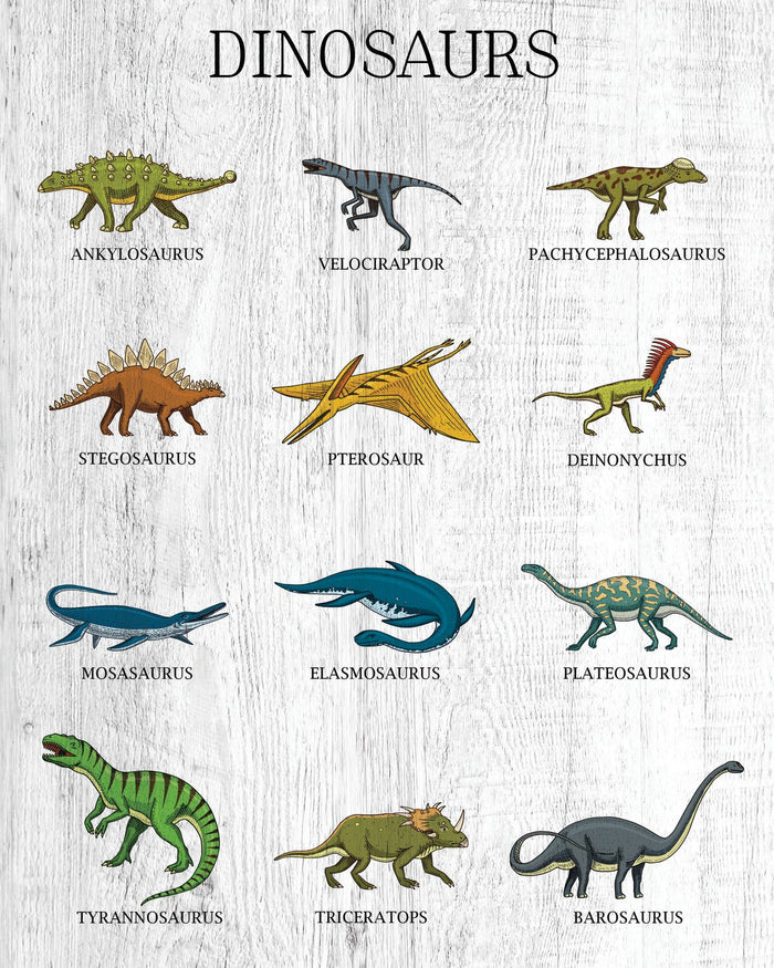 Ancient Dinosaurs Chart – Pineapple Licensing