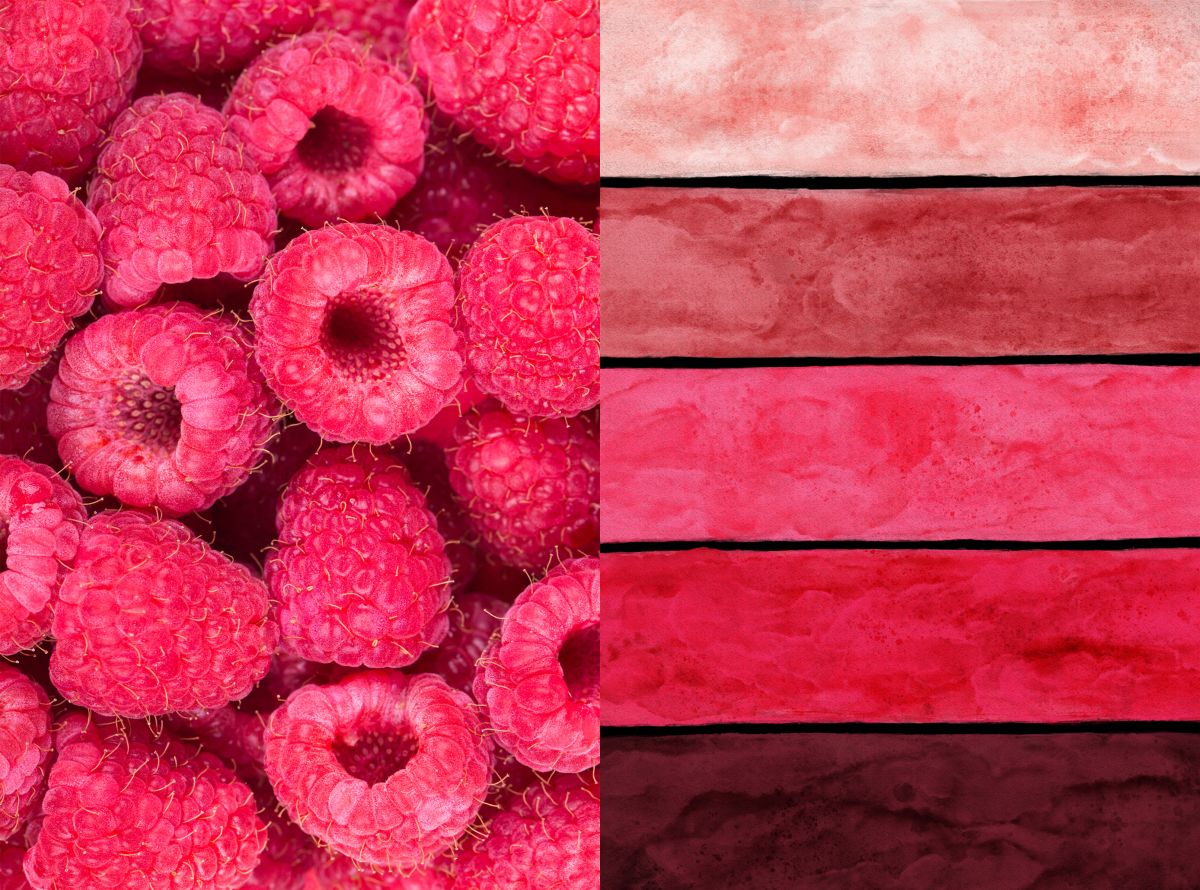 Raspberries Color Palette – Pineapple Licensing