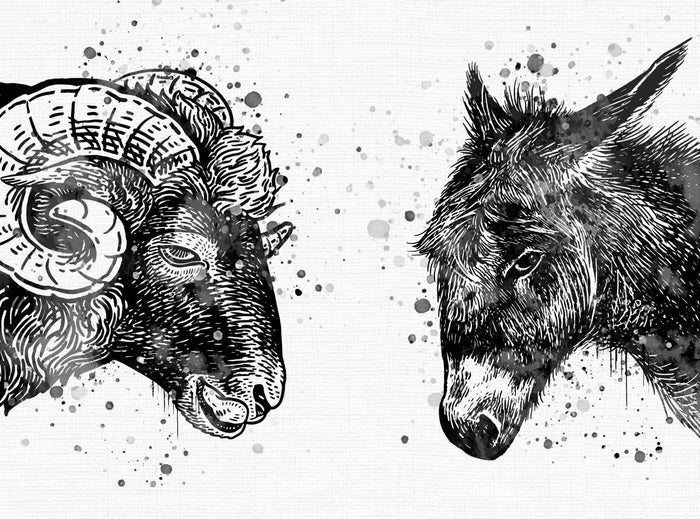 Sheep And Donkey – Pineapple Licensing