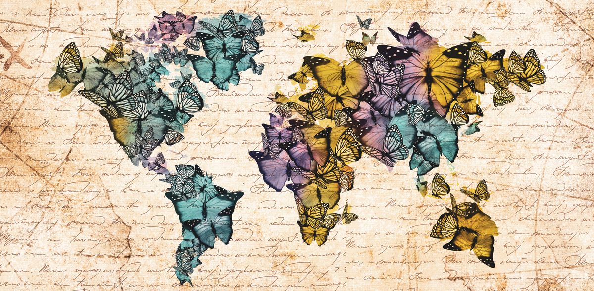 Vintage Butterflies World Map – Pineapple Licensing