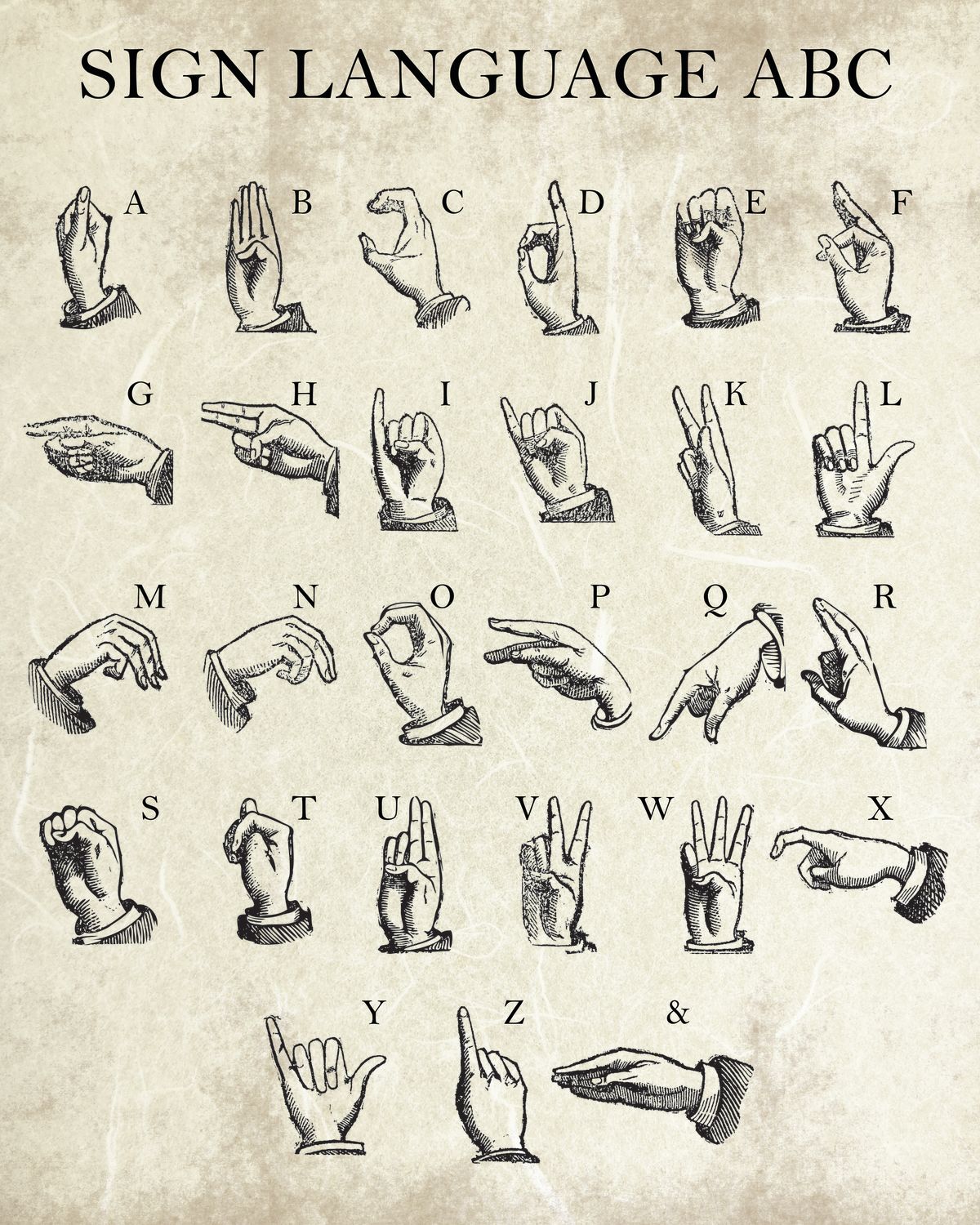 Sign Language Alphabet Chart – Pineapple Licensing