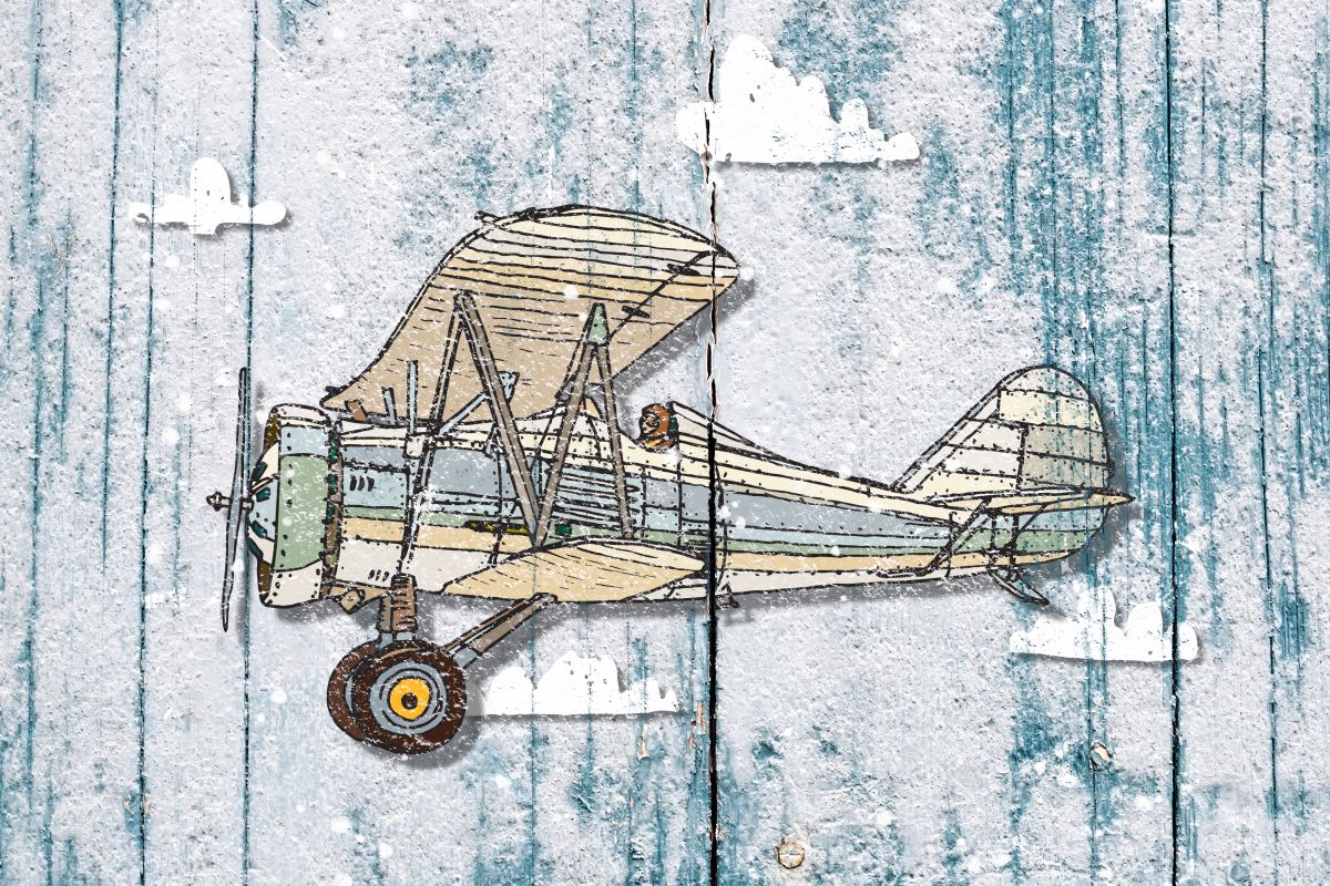 Rustic Cartoon Airplane – Pineapple Licensing