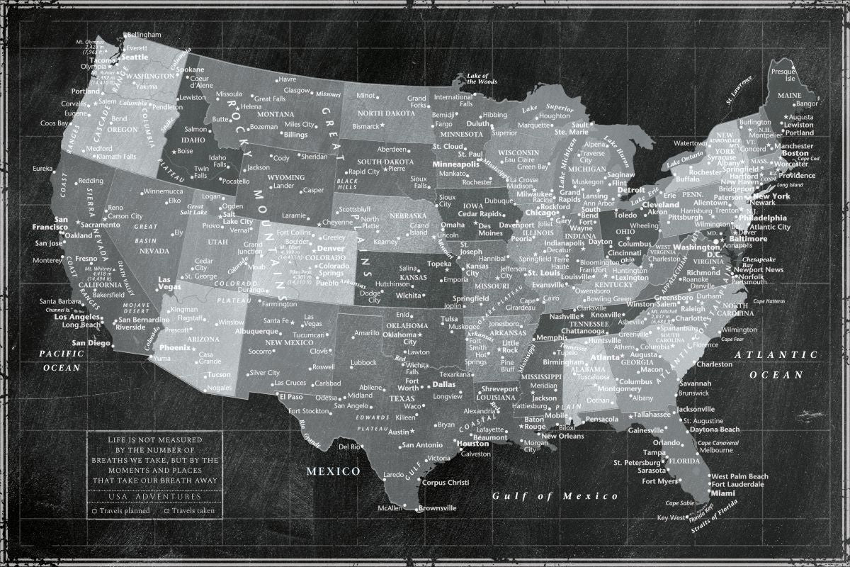 Push Pin USA Map - Monochrome – Pineapple Licensing